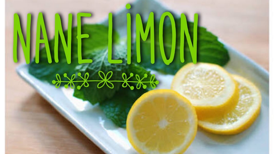Nane Limon Nasıl Yapılır ve Faydaları Nelerdir?